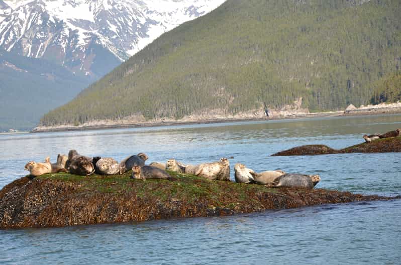 Skagway: Ocean Raft Adventure Along Scenic Coastline | GetYourGuide