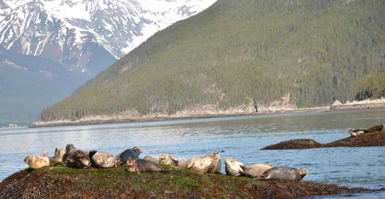 Skagway: Ocean Raft Adventure Along Scenic Coastline | GetYourGuide