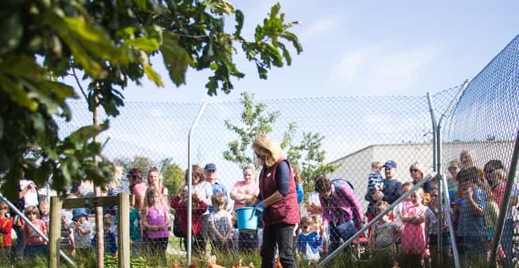 Airfield Estate, Dublin - Book Tickets & Tours | GetYourGuide