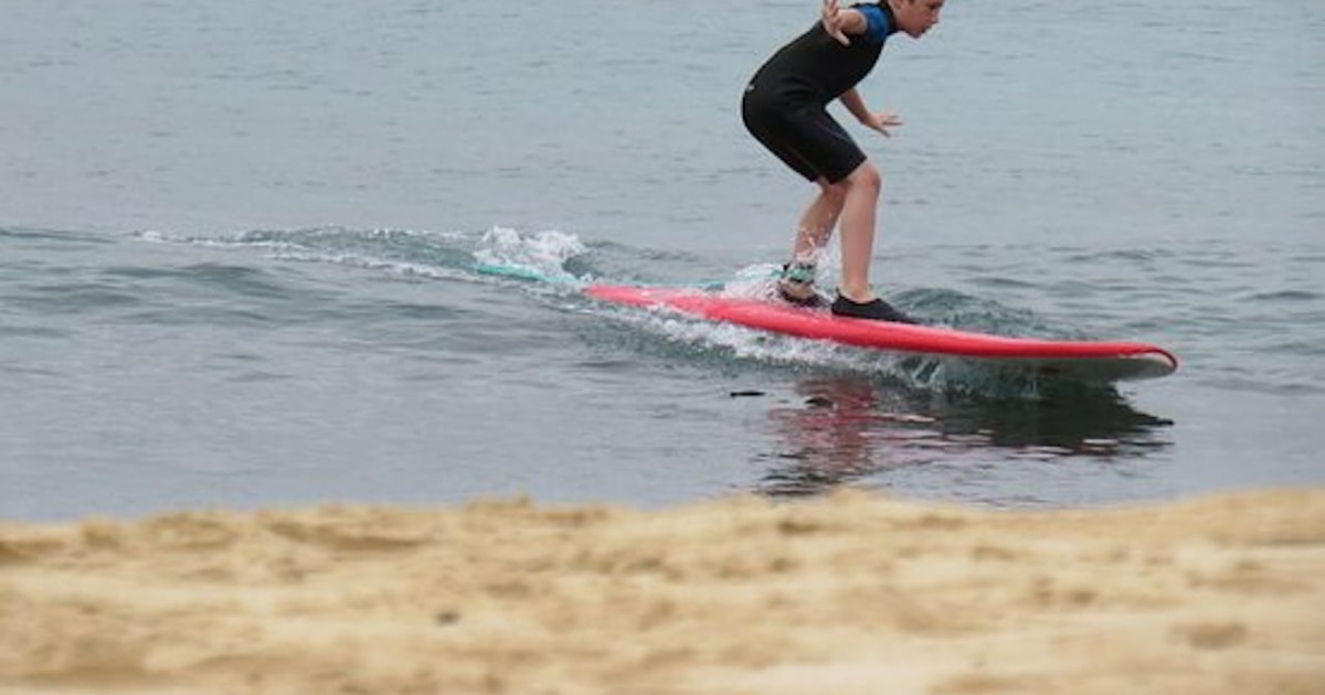 Sal: Surf Lesson | GetYourGuide