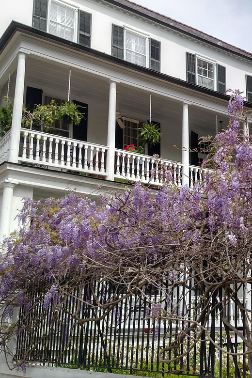 Charleston: Historical Walking Tour with Storytelling | GetYourGuide