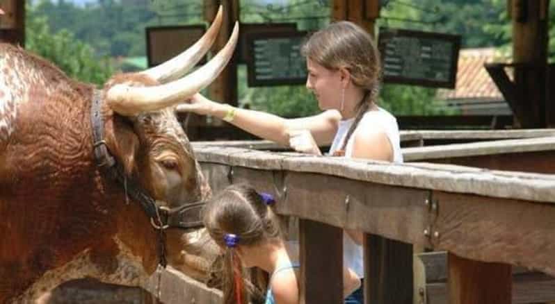 PEREIRA/ARMENIA: PRIVATE TRANSFER TO PANACA PARK + QUIMBAYA INDIVIDUAL ...