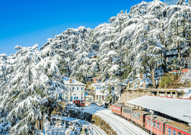 Discover the Colonial Trails of Shimla- Guided Walking Tour | GetYourGuide