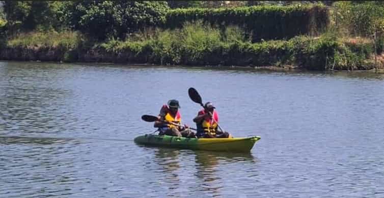 Sunrise Kayaking in Negombo | GetYourGuide