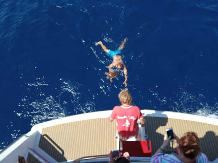 Teneriffa: Whale Watching und Schwimmen ab Los Cristianos | GetYourGuide