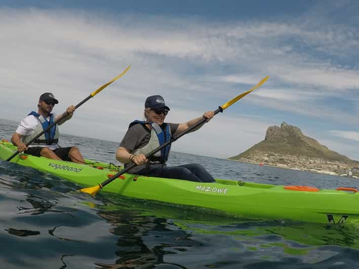 Cape Town: Guided Kayaking in Hout Bay | GetYourGuide
