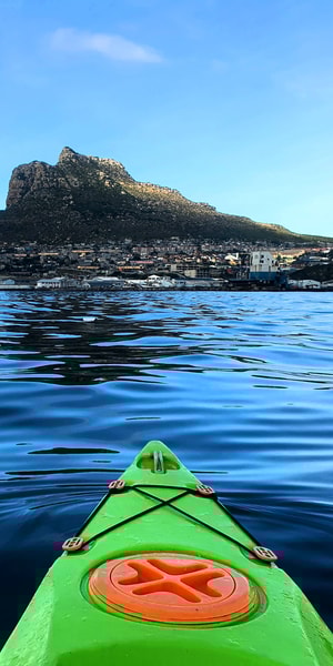 Cape Town: Guided Kayaking in Hout Bay | GetYourGuide