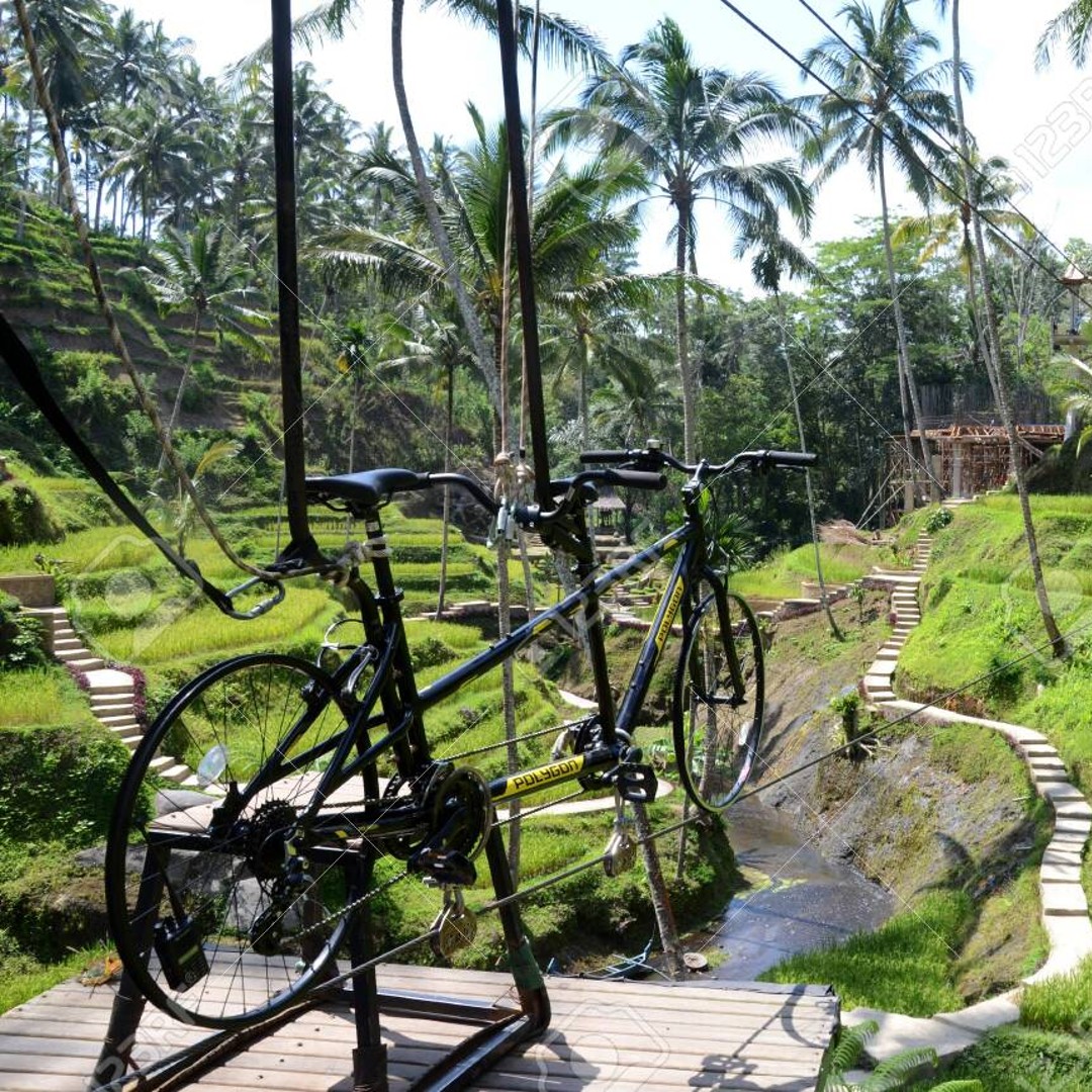 Ubud: Sky Bike Adventure, Swing & Rice Terrace with Transfer | GetYourGuide