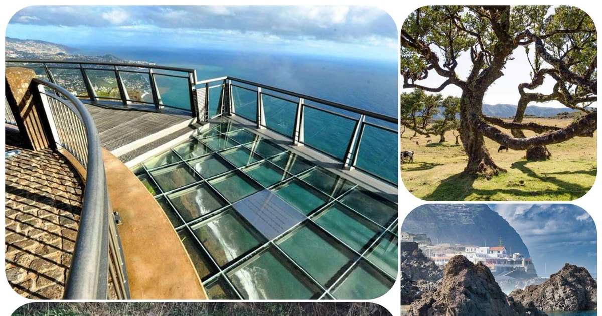 Madère : visite guidée de l'ouest avec le guide Fanal Forest ...