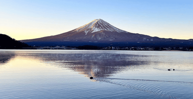 Tokio: El Monte Fuji y los Cinco Lagos de Fuji, tour privado de día completo | GetYourGuide