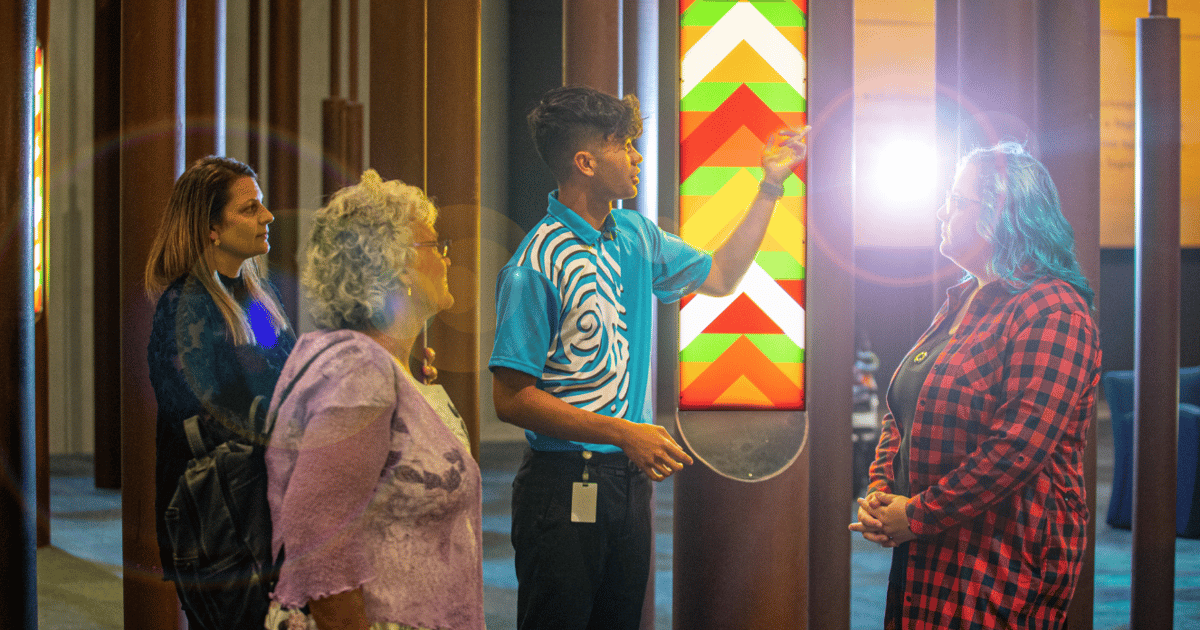 Museum of NZ Te Papa Tongarewa Twilight Express Tour | GetYourGuide