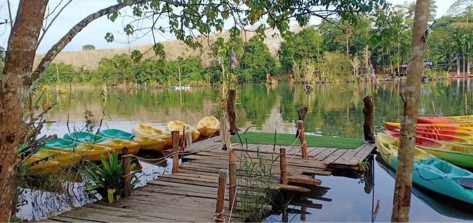 South Kayak Klong Root Kayaking | GetYourGuide