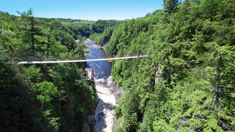 Sainte-Anne Kanyonu: AirCANYON Sürüşü ve Park Girişi | GetYourGuide