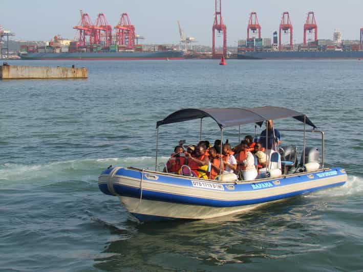 Durban: 1-Hour Boat Cruise from Wilson's Wharf | GetYourGuide