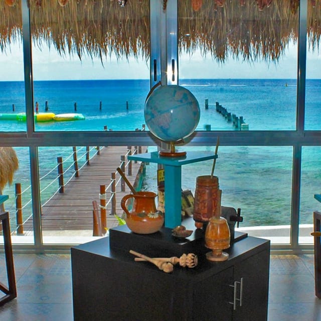 Cozumel: Seaside Chocolate Workshop and Wine Tasting | GetYourGuide