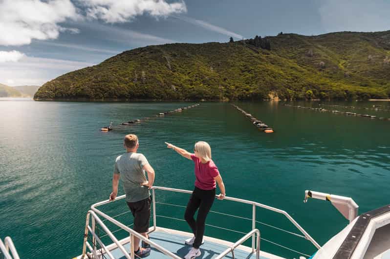 From Havelock: Marlborough Sounds Mail Boat Full-Day Cruise | GetYourGuide