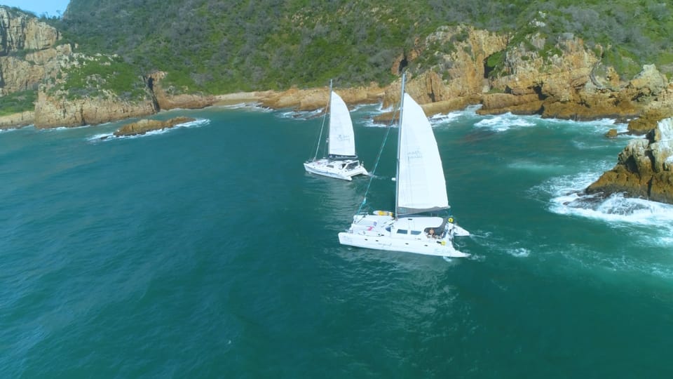 Knysna: Luxury Sunset Cruise with Captain's Barbeque | GetYourGuide
