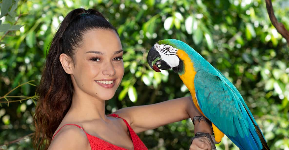 Kuranda: Entrada Birdworld | GetYourGuide