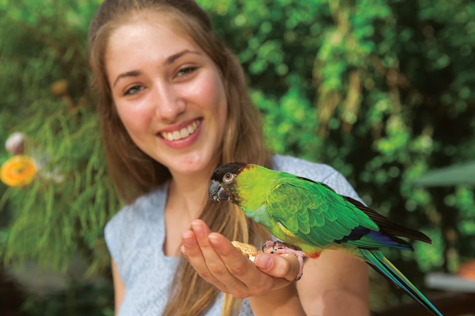 Kuranda: Entrada Birdworld | GetYourGuide