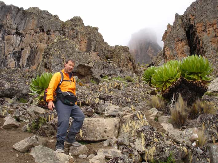 Circuit de randonnée privé au Mont Kenya | GetYourGuide