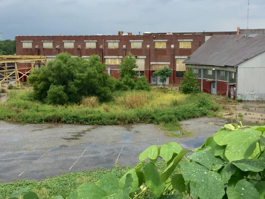 Atlanta: The Walking Dead Private Filming Locations Tour | GetYourGuide