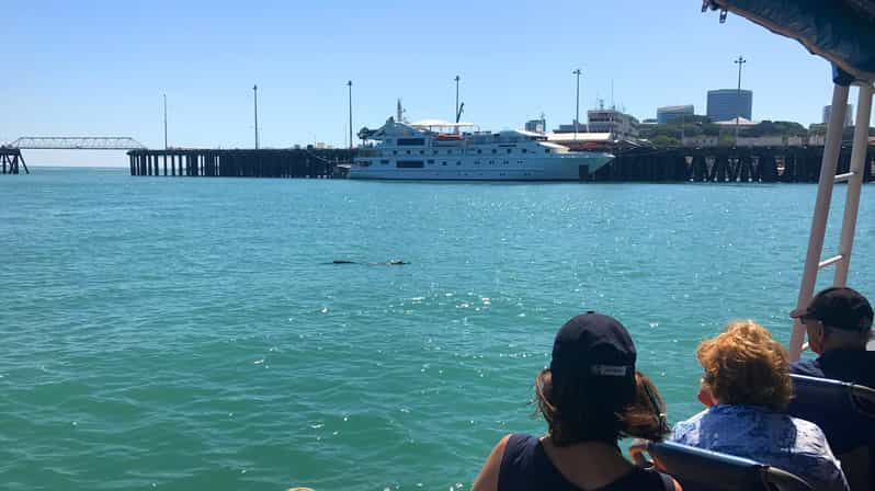Up the Creek: Darwin Harbour Afternoon Cruise | GetYourGuide