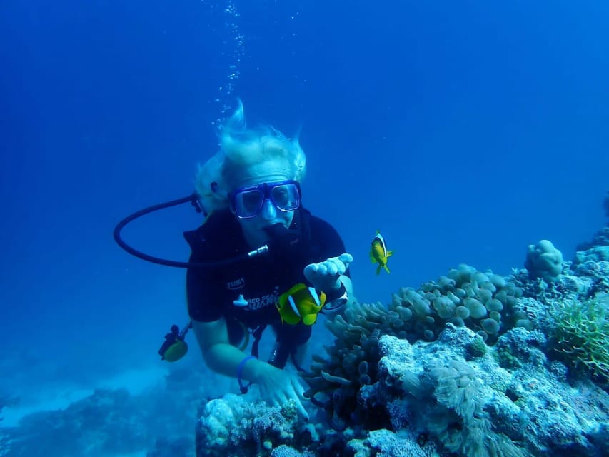 Hurghada: Intro Duiken & Snorkelen Tour met Lunch & Drankjes | GetYourGuide