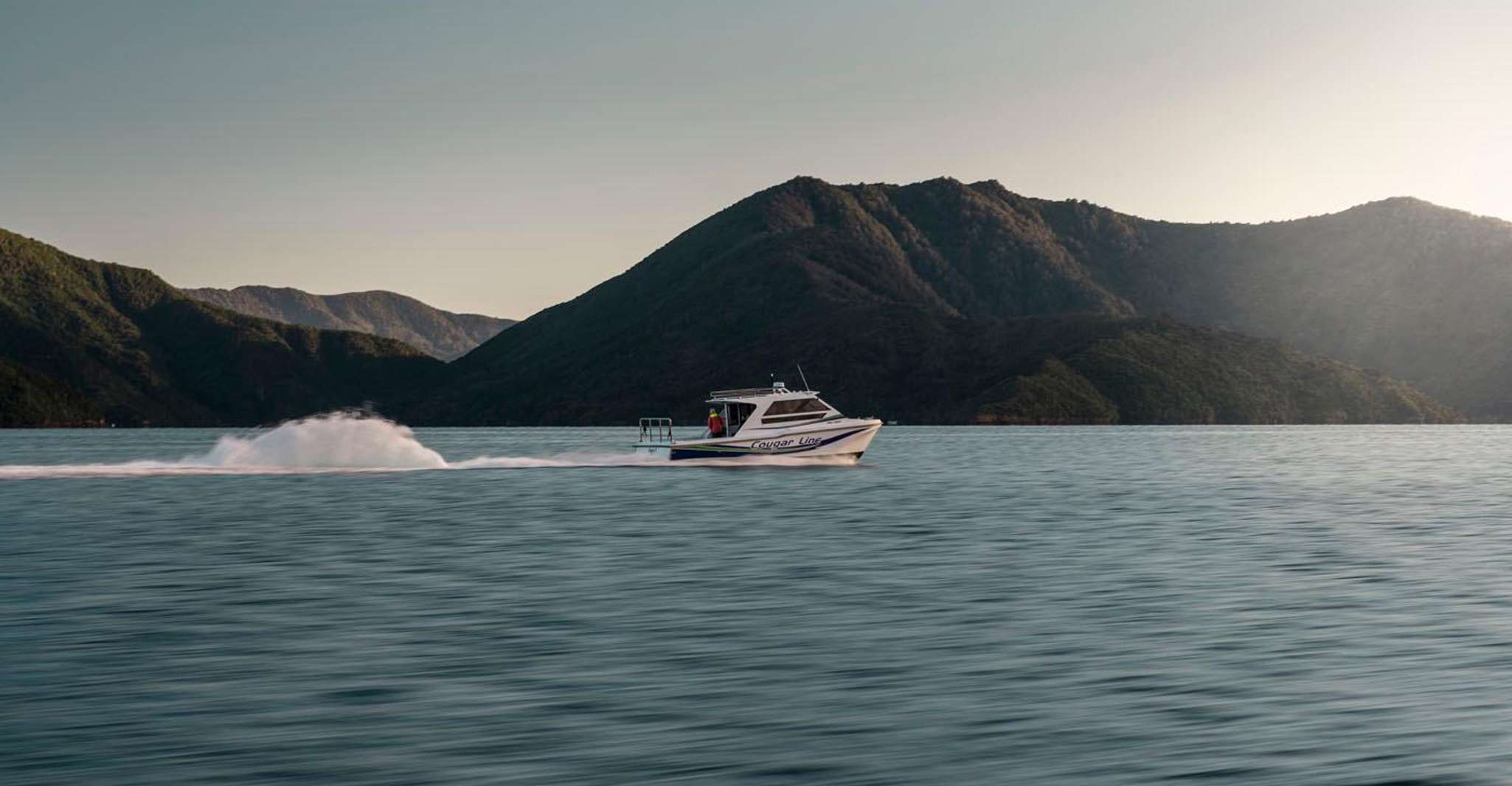 Queen Charlotte Sound Cruise with Lunch | Day Trip in Picton