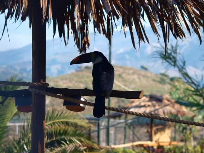 Crete: Agios Nikolaos, Kritsa and Amazonas Park Day Trip | GetYourGuide