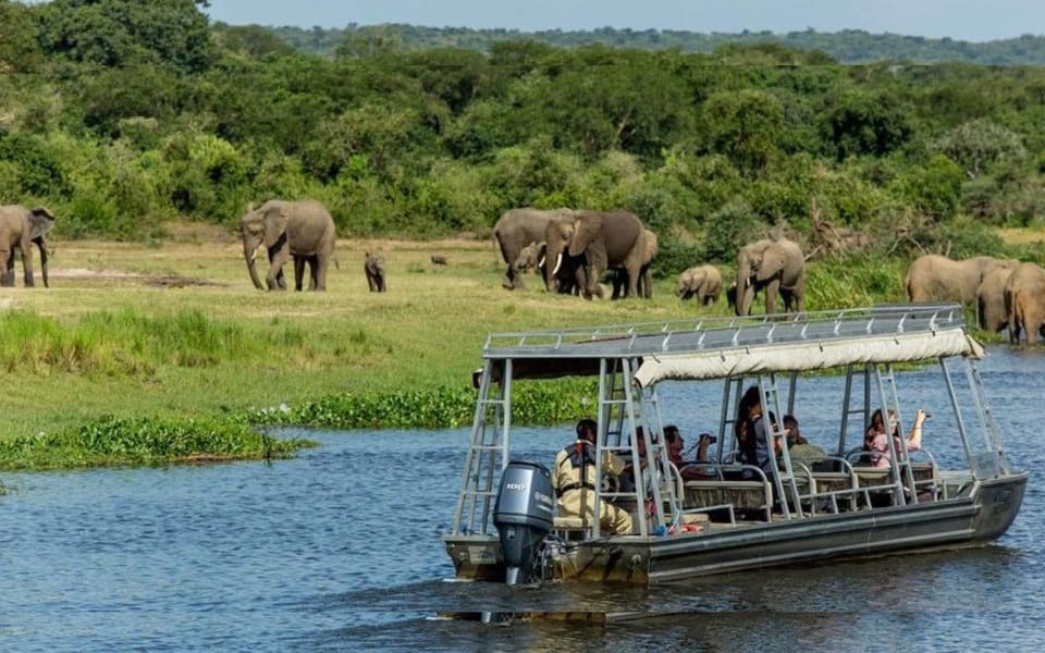 Akagera N. Park Boat ride & Game Drive Day-Trip | GetYourGuide