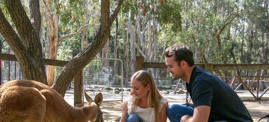 The BEST Gold Coast Zoos & aquariums 2024 - FREE Cancellation ...