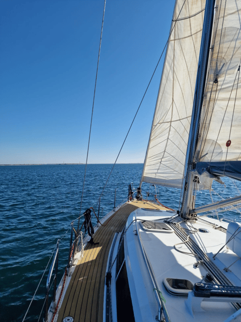 Ria formosa Sailing vessel experience | GetYourGuide