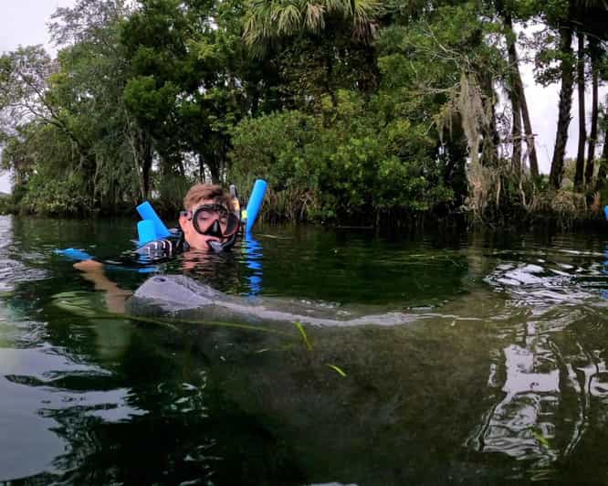 Orlando: Manatee Encounter, Snorkeling, and Airboat Ride | GetYourGuide