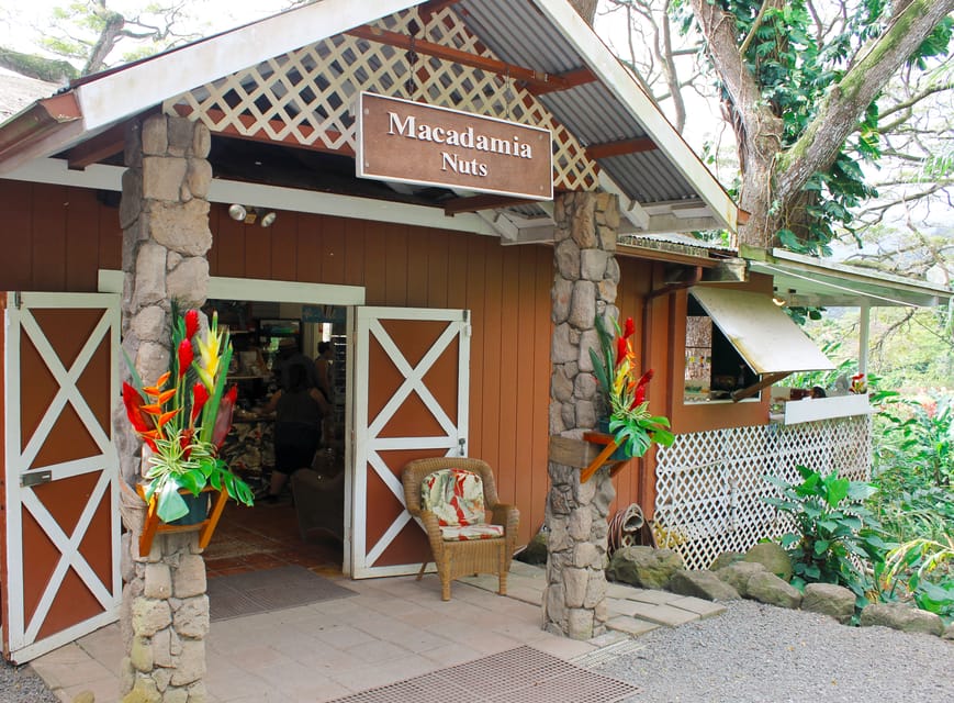 Honolulú: Excursión por la isla de Oahu | GetYourGuide