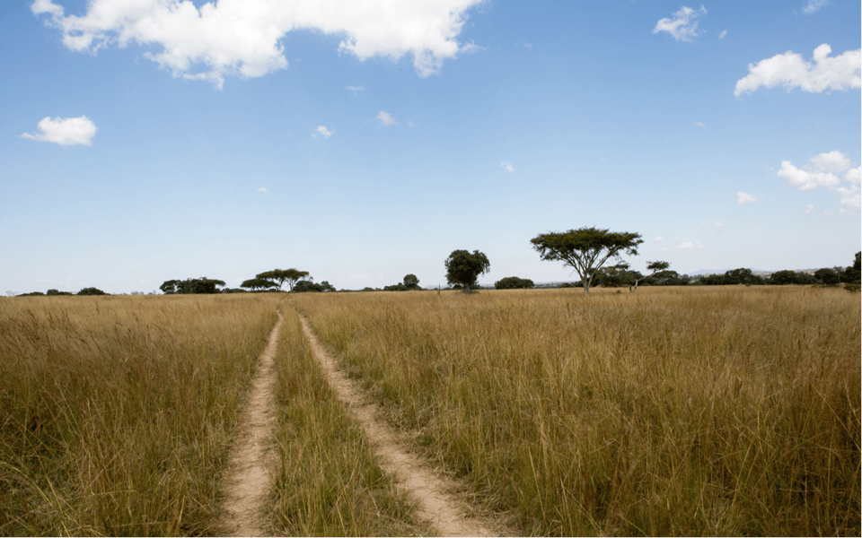 Kampala: safari di 2 giorni al Queen Elizabeth National Game Park ...