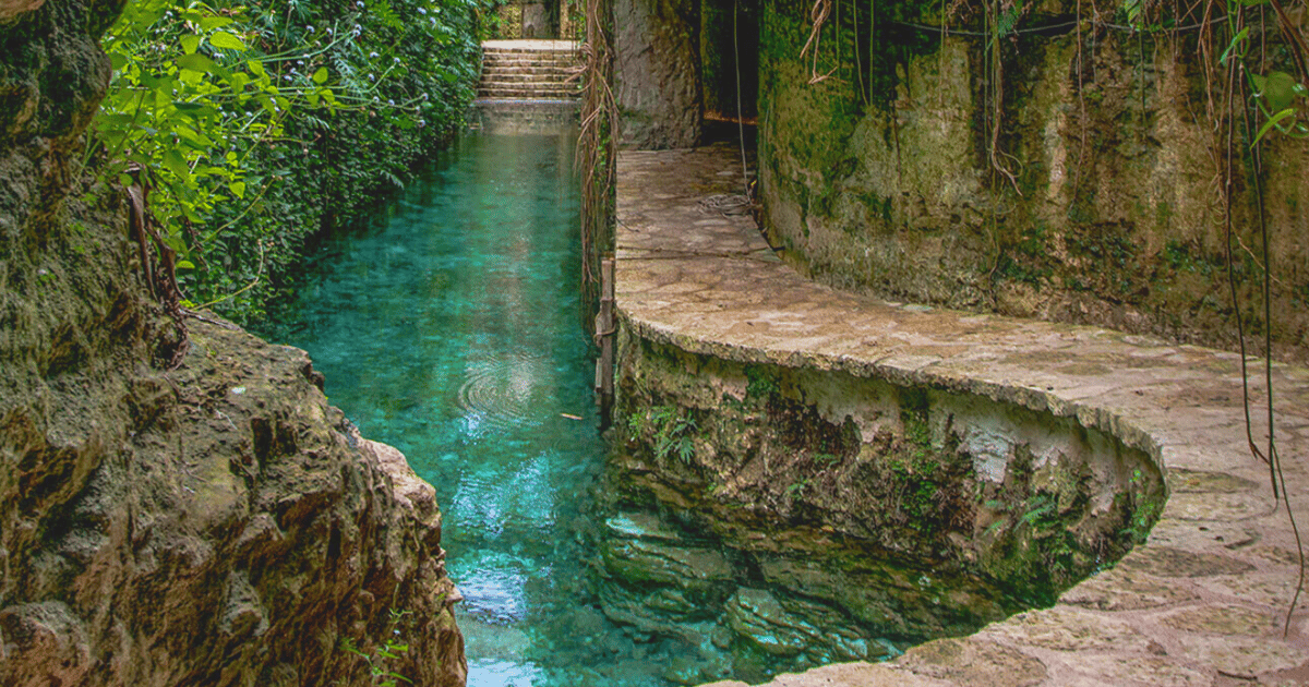 De Mérida: Hacienda Mucuyché e Cenotes Tour | GetYourGuide