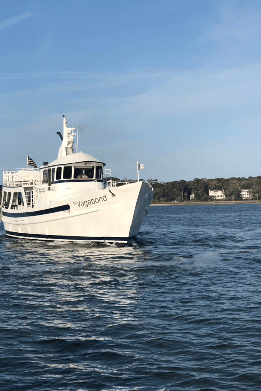 Hilton Head Island: Round-Trip Daufuskie Island Ferry | GetYourGuide