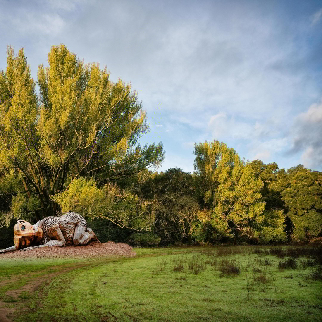 Woodside: Filoli Historic House and Garden Entry Ticket | GetYourGuide
