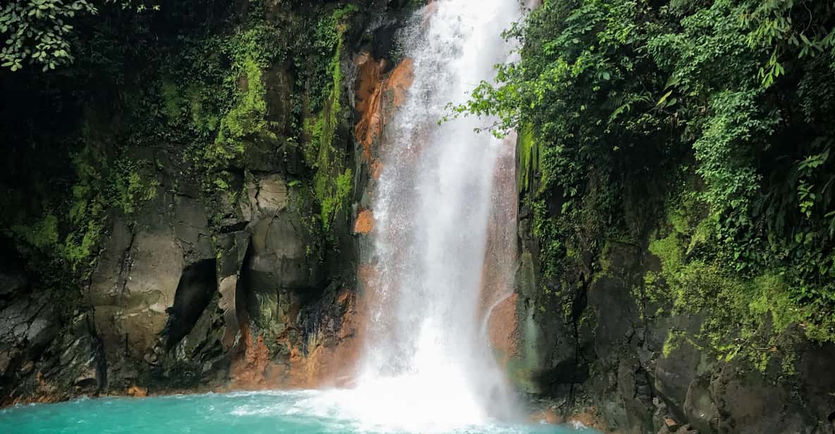 Rio Celeste, explore the rainforest and great waterfall | GetYourGuide