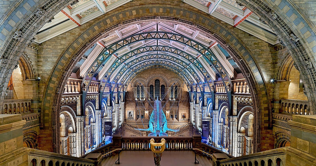 Guided Tour: Nature Unveiled in London | GetYourGuide