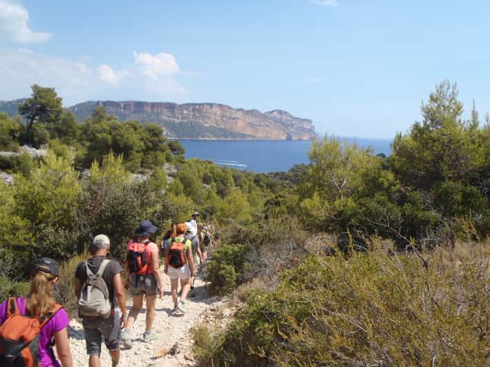 Cassis: randonnée d'une demi-journée dans les calanques de Cassis ...