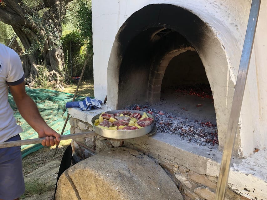 Greek Cooking Class in an Olive grove in Messinia | GetYourGuide