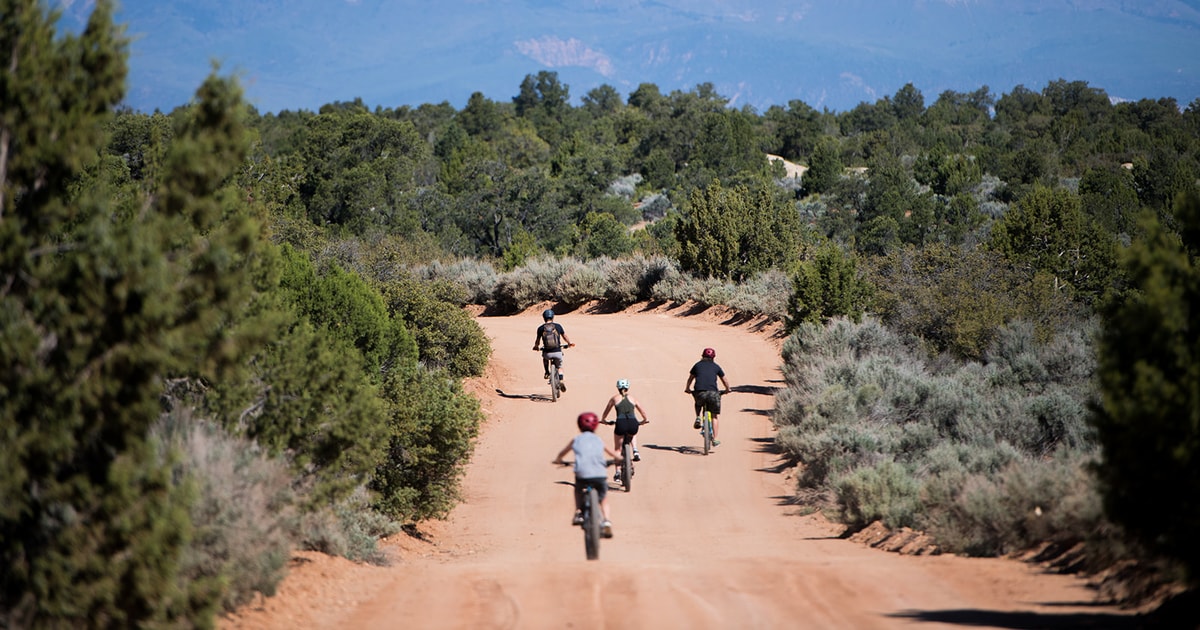 Springdale Aventura de medio día en bicicleta de montaña | GetYourGuide