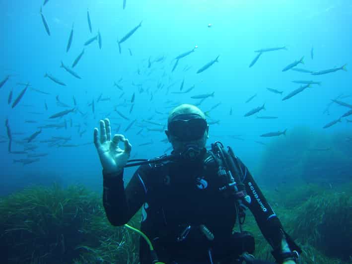 Menorca: Baptism Scuba Diving in Marine Reserve | GetYourGuide