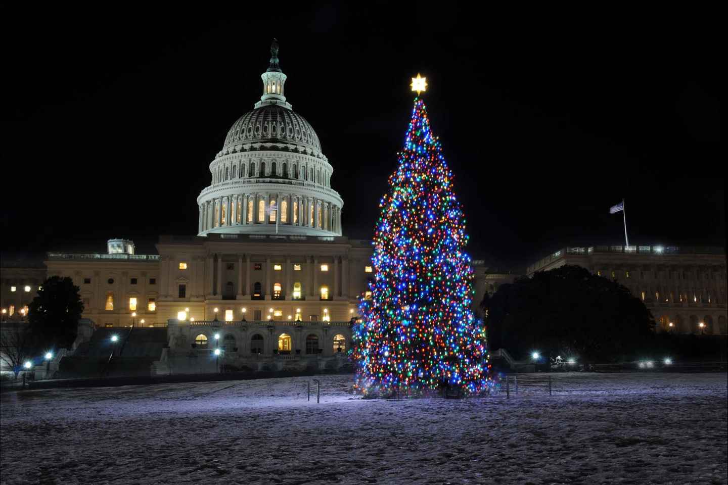 Top 12 Things To Do At Christmas In Washington DC - Updated 2025 | Trip101