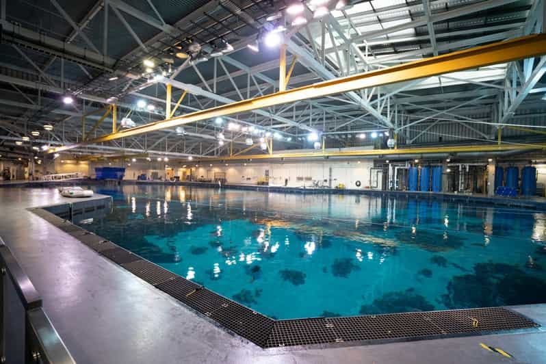 Georgia Aquarium: Behind the Seas in Home Virtual Tour | GetYourGuide