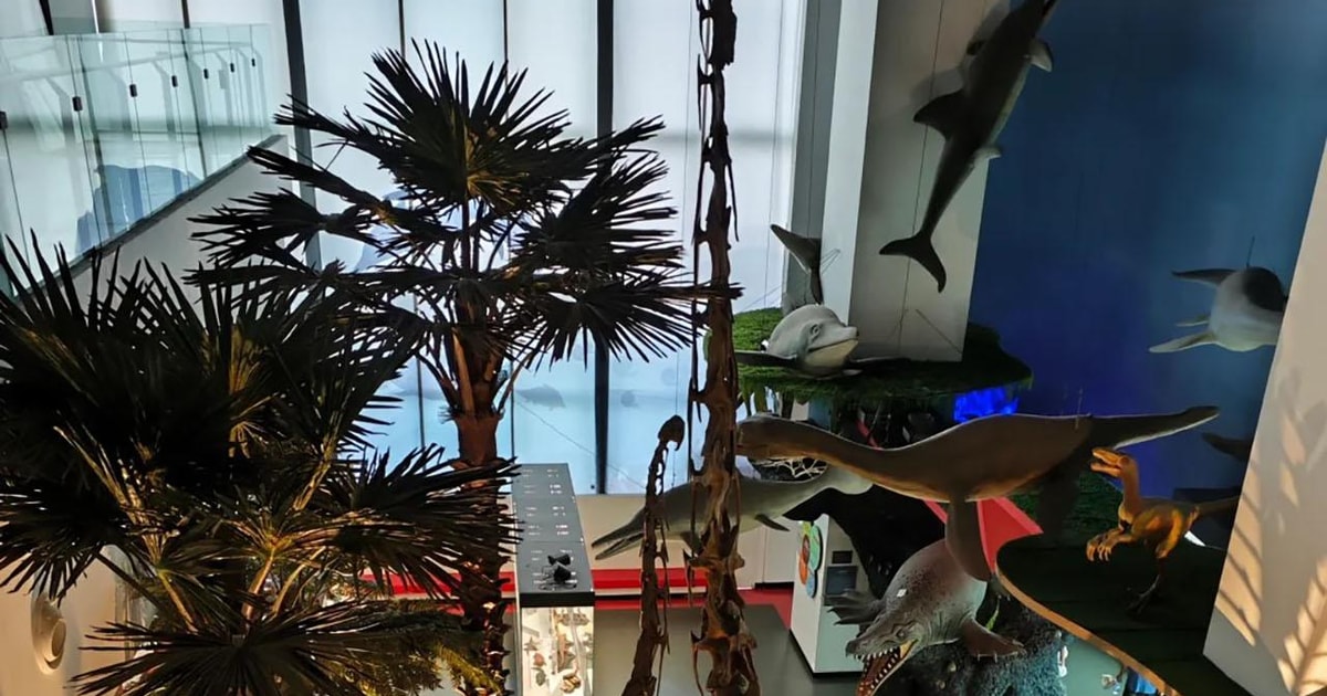 Kunming: Yunnan Provincial Museum Private Tour (Half Day) | GetYourGuide