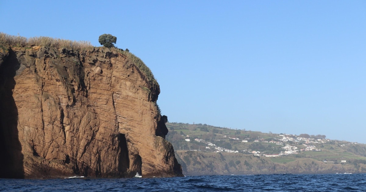 Ribeira Grande: Passeio de barco pela costa |Capelas | GetYourGuide