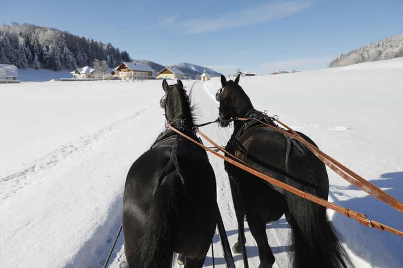 Romantic Sleigh Ride through the Salzburg Countryside | GetYourGuide