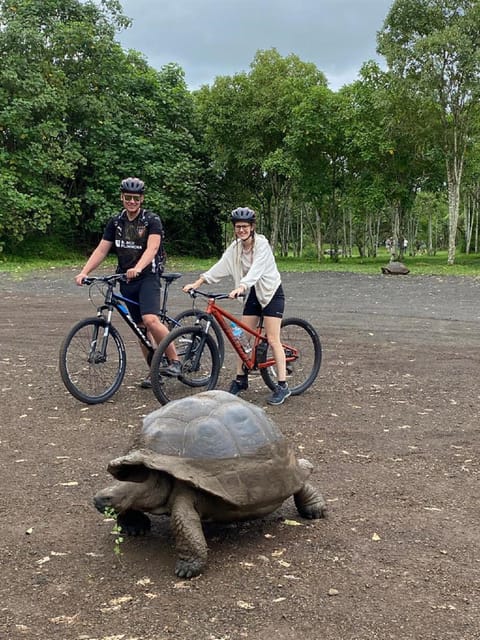 Galapagos: Route mit dem Fahrrad, Tortoise Bike Rute | GetYourGuide